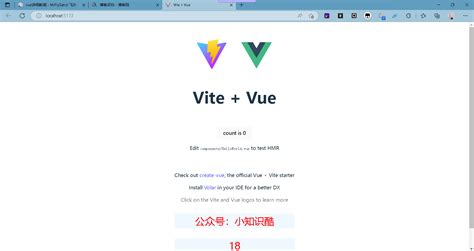 vue教程超详细 MrFlySand 飞沙 博客园