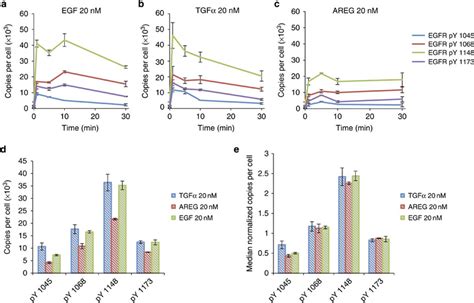 Ligand Comparison Mrm Based Absolute Quantification For Egfr Download Scientific Diagram