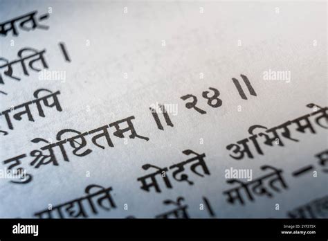 macro close up a an example of a sanskryt text devanagari script kavya
