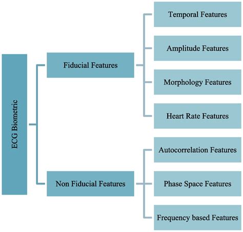 Ecg Authentication Techniques Based On Feature Extracted Download