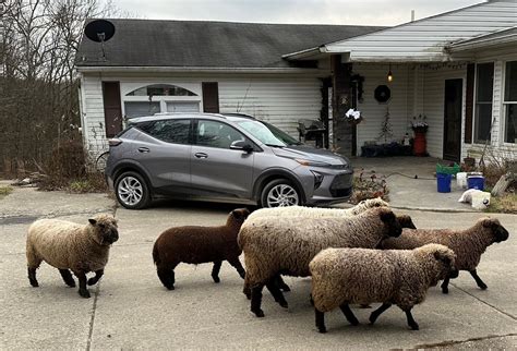 New Bolt Euv Owner Cincinnati Ohio Chevy Bolt Ev Forum