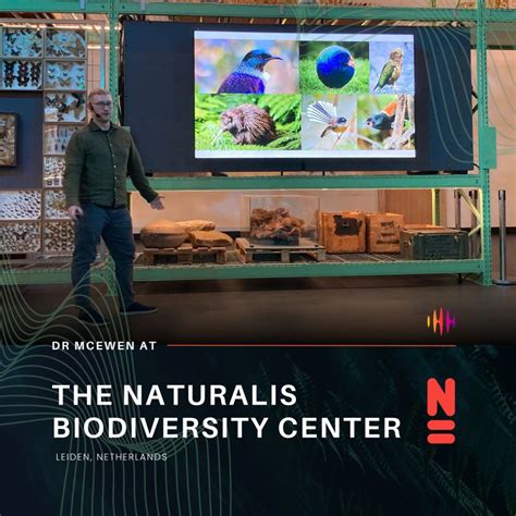 Listening Lab On Linkedin Conservation Bioacoustics Newzealand Aiforgood Conservationtech