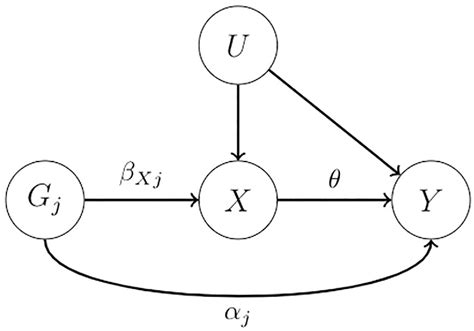 Figure 1 From A Practical Problem With Egger Regression In Mendelian Randomization Semantic