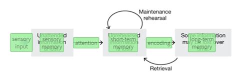 Chapter 7 Memory Inquizitive Flashcards Quizlet