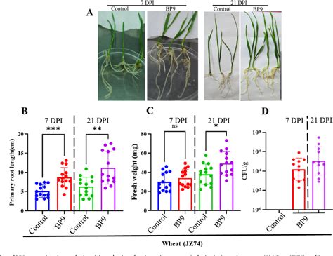 Figure 1 From Comprehensive Genomic Analysis Of Bacillus Paralicheniformis Strain Bp9 Pan