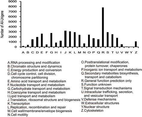 Clusters Of Orthologous Groups Annotated With Cog Terms Download