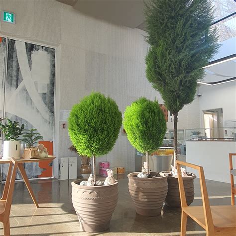 윈도우11 스케줄러 설정으로 편리한 자동 작업 관리하기