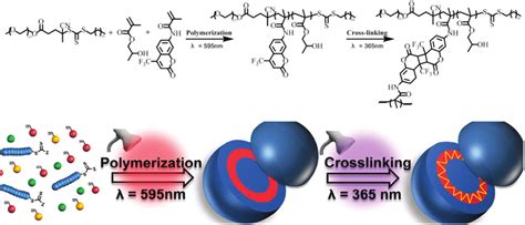 Fabrication Of Cross Linked Polymeric Nano Objects By Exploiting