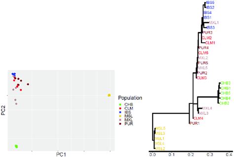 A First Two Principal Components Explaining 29 Of Variance From