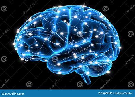 Enhanced Brain X Ray Illustration Revealing Neural Pathways For Advanced Neurology Research