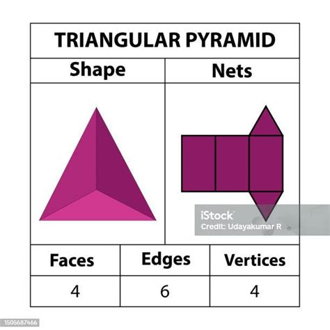 Triangular Pyramid Nets Faces Edges And Vertices Geometric Figures Are