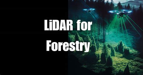 Seeing The Forest For The Trees The Power Of Drone Lidar In Forestry