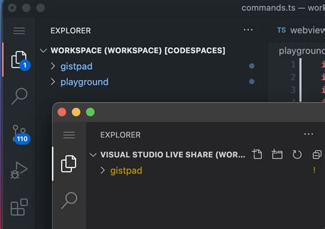 Multi Root Workspaces Dont Seem To Be Working Correctly · Issue 4034 · Microsoft Live Share