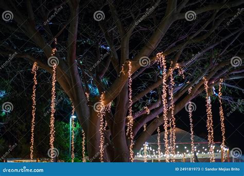 Tree Decorated With LED Lights Stock Image Image Of Sparkle Greeting 249181973