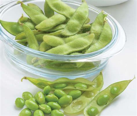 How To Grow Edamame Beans At Sarah Bugarin Blog