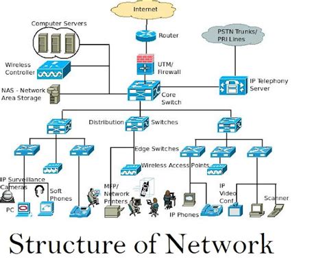 Network Structure Components