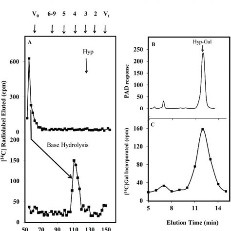 Bio Gel P2 Fractionation Of The Rp Hplc Purified Ao 7 Galt5 Reaction Download Scientific