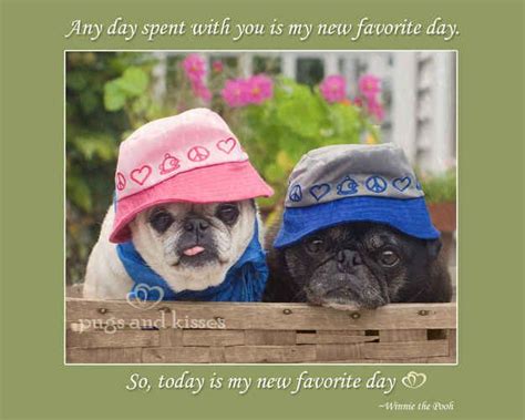 30 Lessons That Pug Beauty Gretta Rose Taught Us Pugs And Kisses Pugs Pug Love