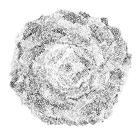 Adult Coloring Page Dots Really Tiny Dots Coloring Page Etsy