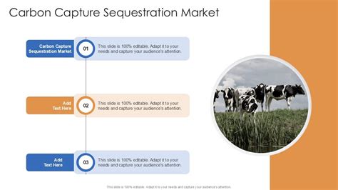 Carbon Capture Sequestration Market Ppt Powerpoint Cpp