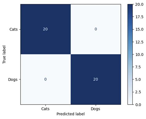 Pytorch Image Classification A Step By Step Guide An Alternative Method Nyckel