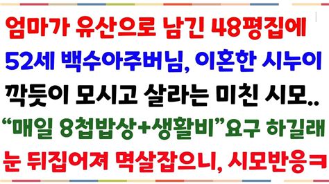 사이다사연 친정엄마가 남긴 48평집에 이혼한 시누이 백수 아주버님 모시고 살라는 시댁황당해서 한마디 했네요 당신 아들