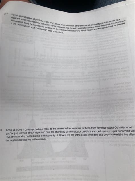 Solved Revisit Your Diagram Of Diagram To Demonstrate Chegg