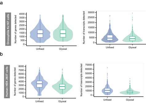 Library Complexity In Unfixed And Glyoxal Fixed Samples A B Number