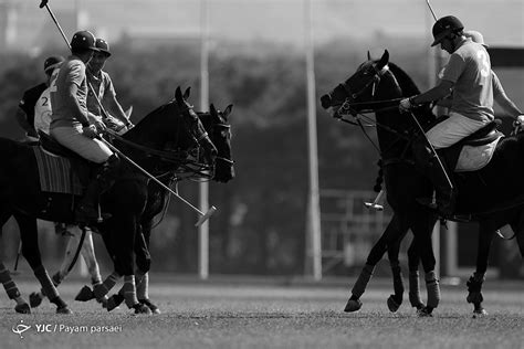 هشتمین دوره مسابقات چوگان