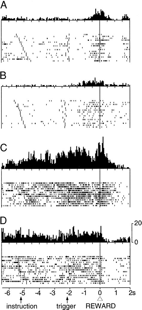 Different Onsets Of Activations Preceding Reward In 4 Orbitofrontal Download Scientific Diagram