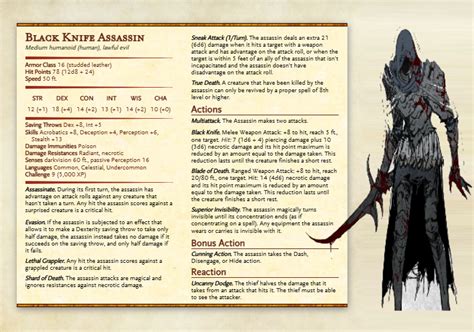 Dandd Assassin