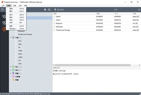 Vmprotect Software Officially Authorized Genuine Software Platform