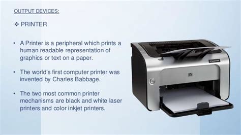 Input And Output Devices Class V