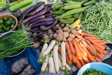 Segment Anything Meta Ai