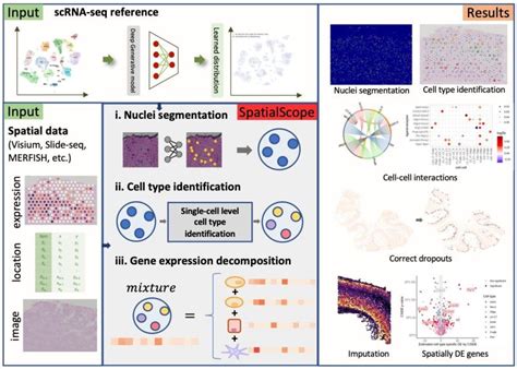 Alfonso Saera Vila On Linkedin Spatialtranscriptomics Genomics Bioinformatics