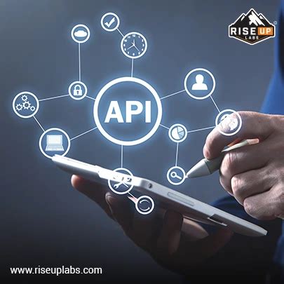 API Testing Services Company Riseup Labs