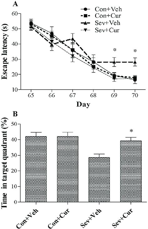 Effects Of Curcumin On Spatial Learning And Memory In Mice Download Scientific Diagram