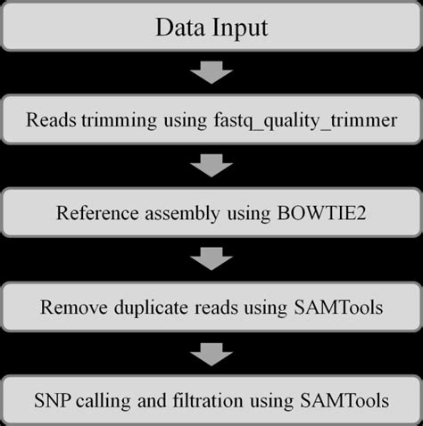 Figure S3 Reference Assembly Process Using Bowtie2 And Samtools