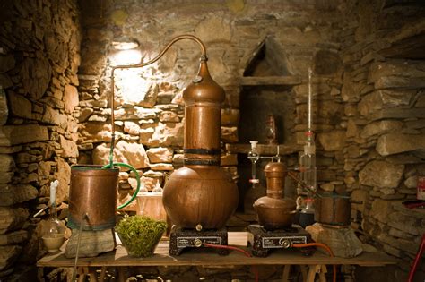 Eco Lodge Activities Tinos Eco Lodge