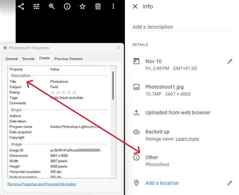 Google Photos Metadata Everything You Need To Know About Photo Metadata
