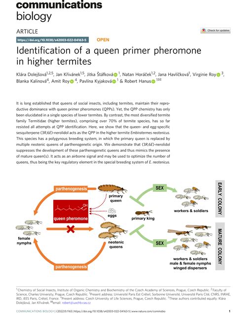 News Robert Hanus Group