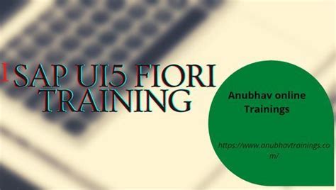 Sap Ui5 And Fiori Training Live Demo For Abap Consultant Sap Online