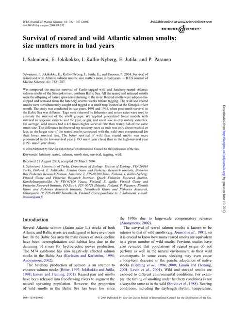 Pdf Survival Of Reared And Wild Atlantic Salmon Smolts Size Matters More In Bad Years