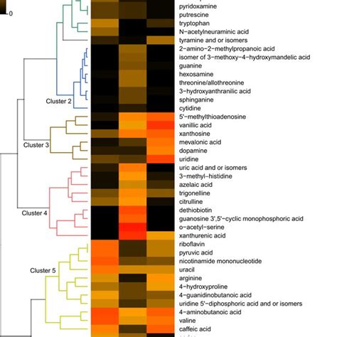 Pdf The Core Metabolome And Root Exudation Dynamics Of Three Phylogenetically Distinct Plant