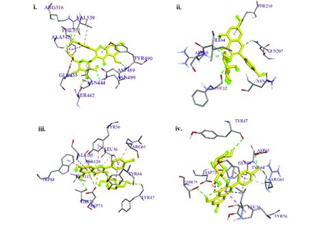 3d Diagram Of Ligand Protein Interaction Between Trifolin I 6ged