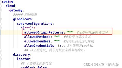 spring springcloud gateway升级版本allowedOrigins要改allowedOriginPatterns 游戏