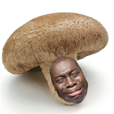 2019年01月20日深夜ごろに投稿されたお前誰だよさんのお題 ボケて（bokete）