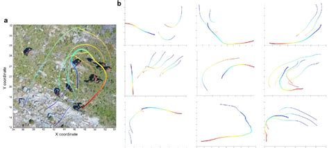 A View From The Camera Of The Drone Showing Trajectories Of The Male Download Scientific