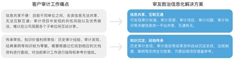 审友A 审计管理系统 审友数治 更多客户选择的审计软件