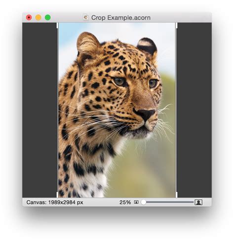 crop tool acorn 8 docs